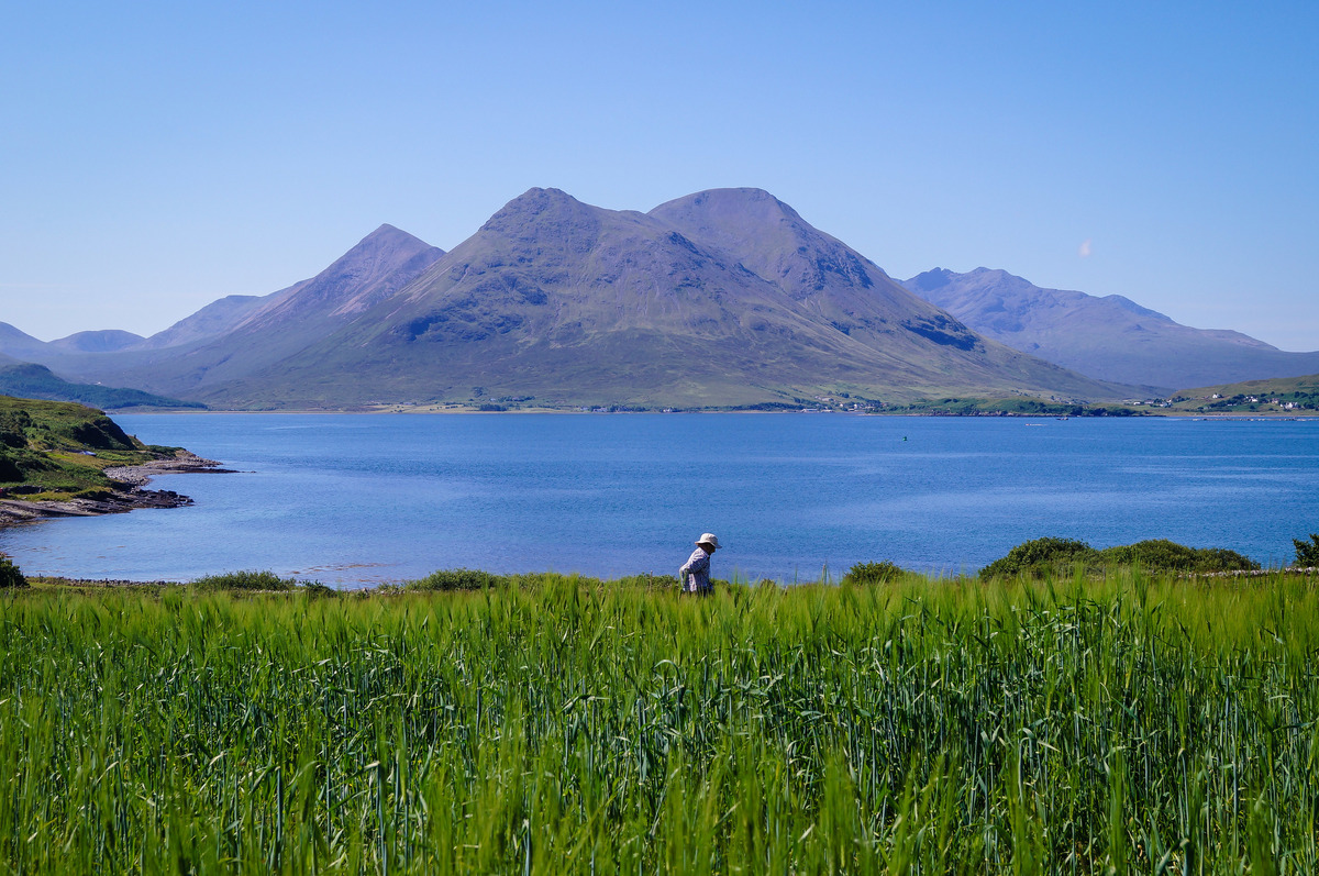 West Coast Today - Media Library - NOT30Raasaybarleyjpg