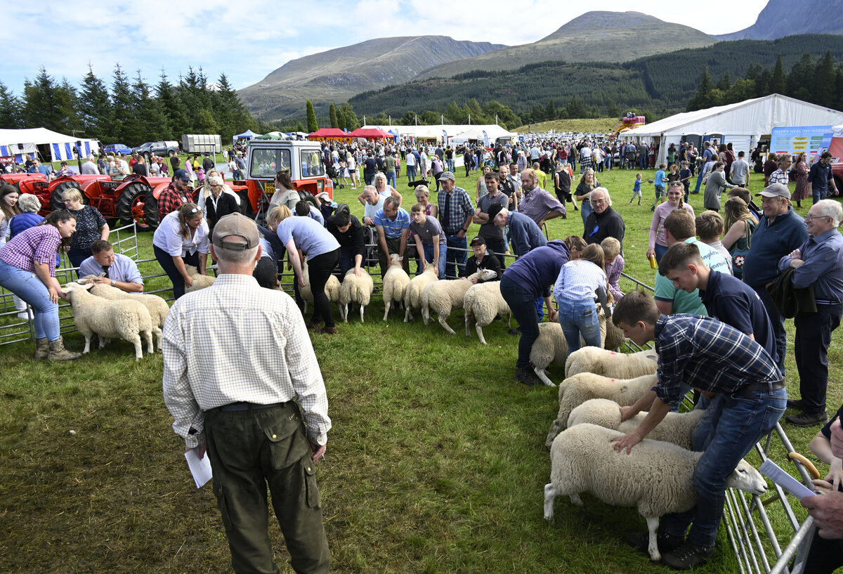 West Coast Today - News - Sunshine and smiles as Lochaber Agricultural ...