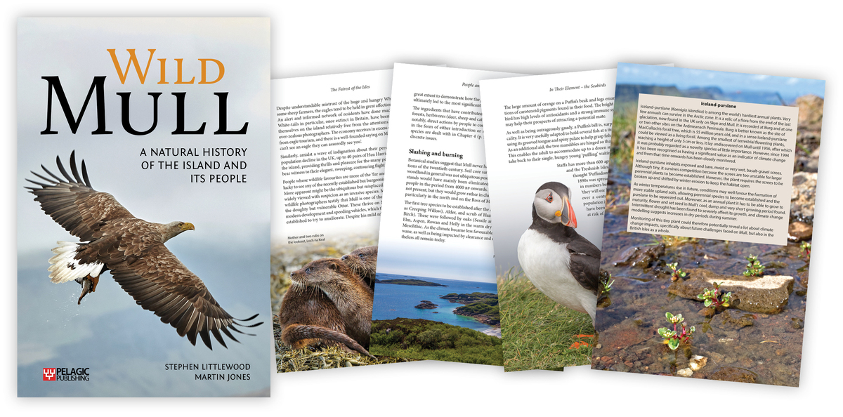 West Coast Today - News - Review: Wild Mull: A Natural History of the ...