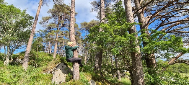 West Coast Today - News - Inaugural Scottish Tree Hugging Championships ...