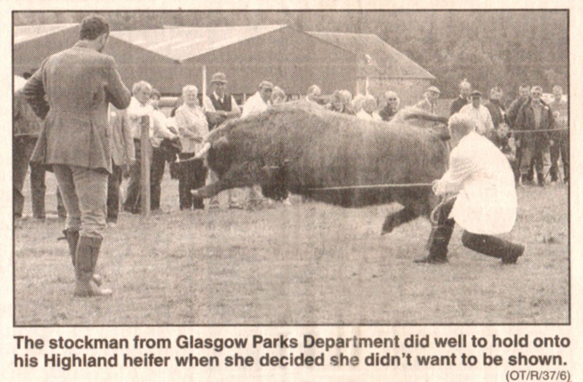 West Coast Today - News - 100 years of Dalmally Show - read all about it