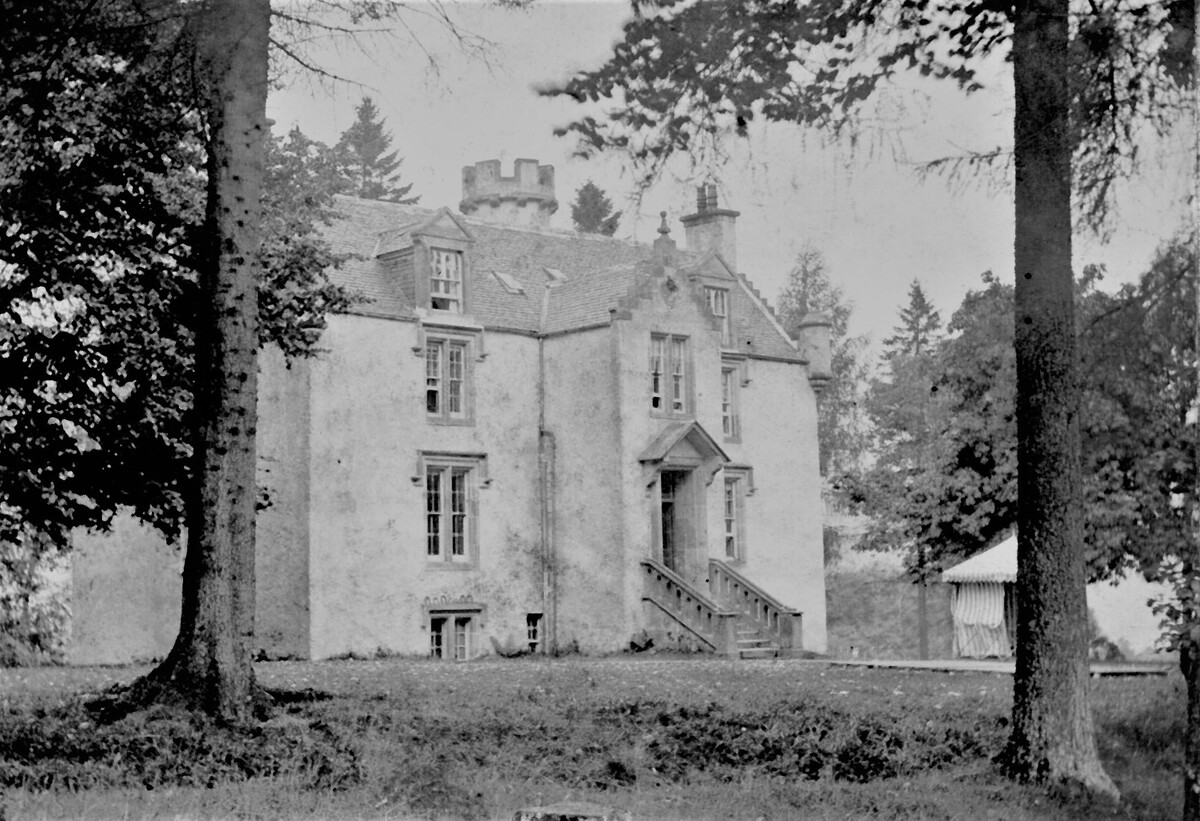 West Coast Today - Opinion - The last working deer hounds in Scotland