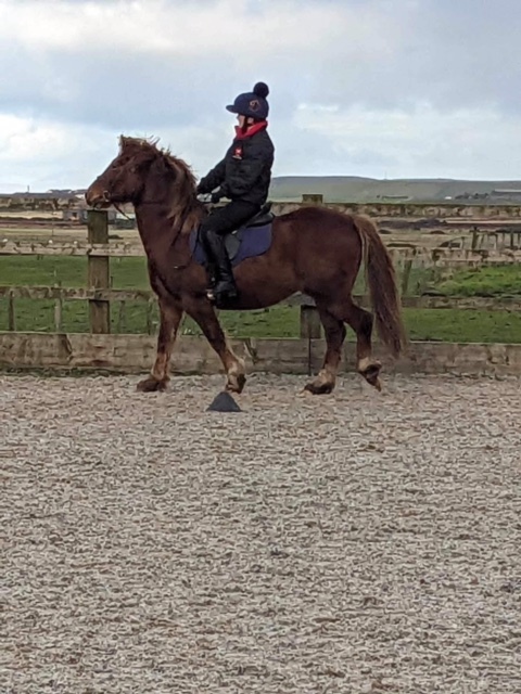 West Coast Today - Sport - Cold start to pony club events