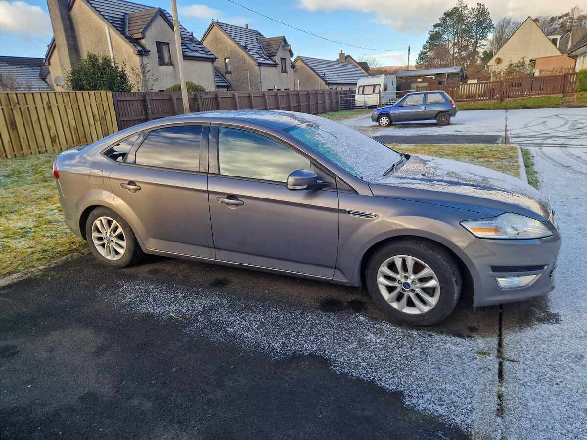 West Coast Today - News - Council under fire as it tackles 'scourge' of ...