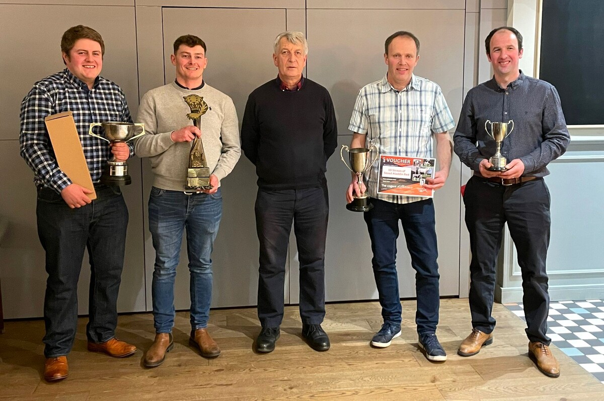 West Coast Today - News - Kintyre farmers showcase best Holstein heifers