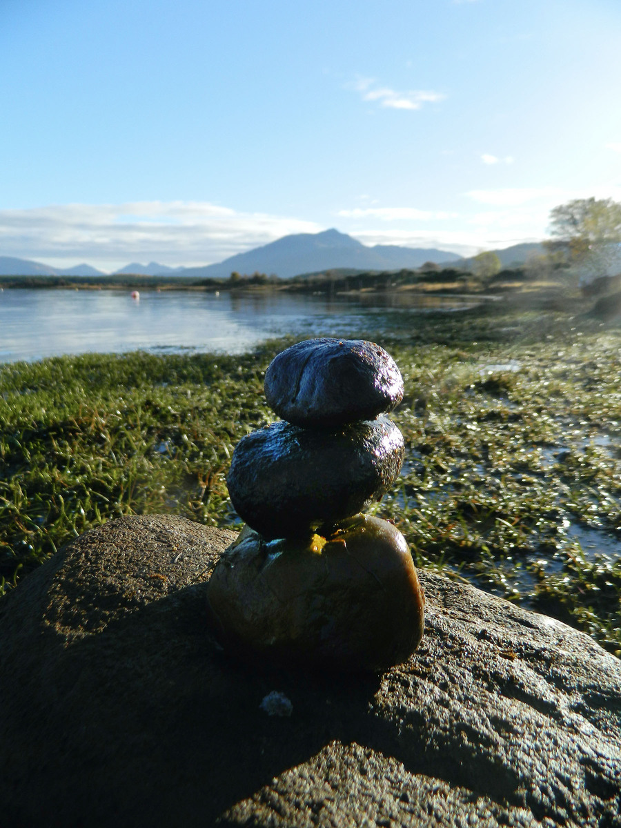 West Coast Today - Media Library - Luca Achim's winning entry.