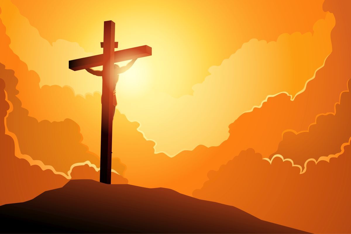 West Coast Today - Media Library - A series of displays will tell the ...