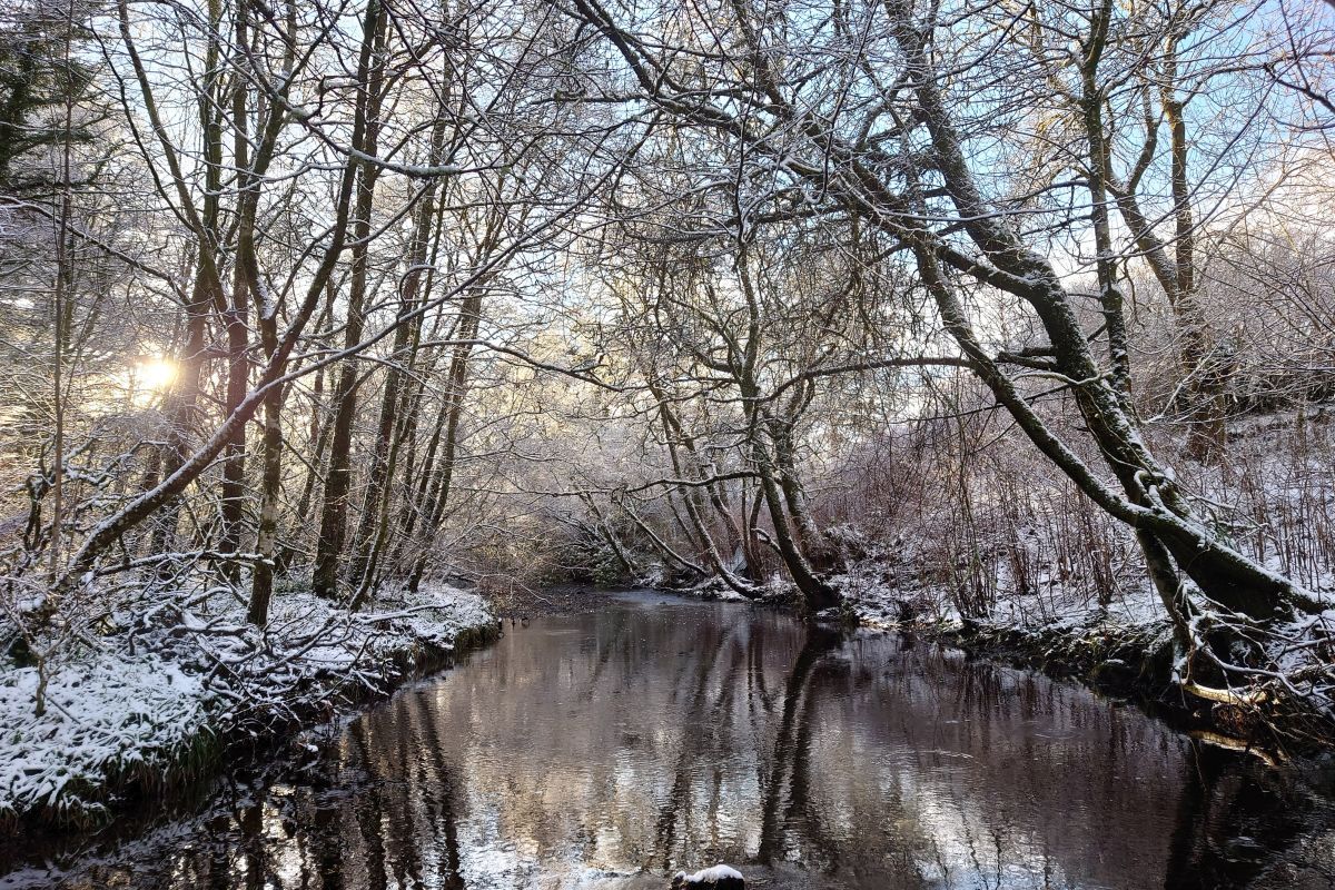 West Coast Today - Leisure - Heather's Treks: Sutherland's Grove and ...