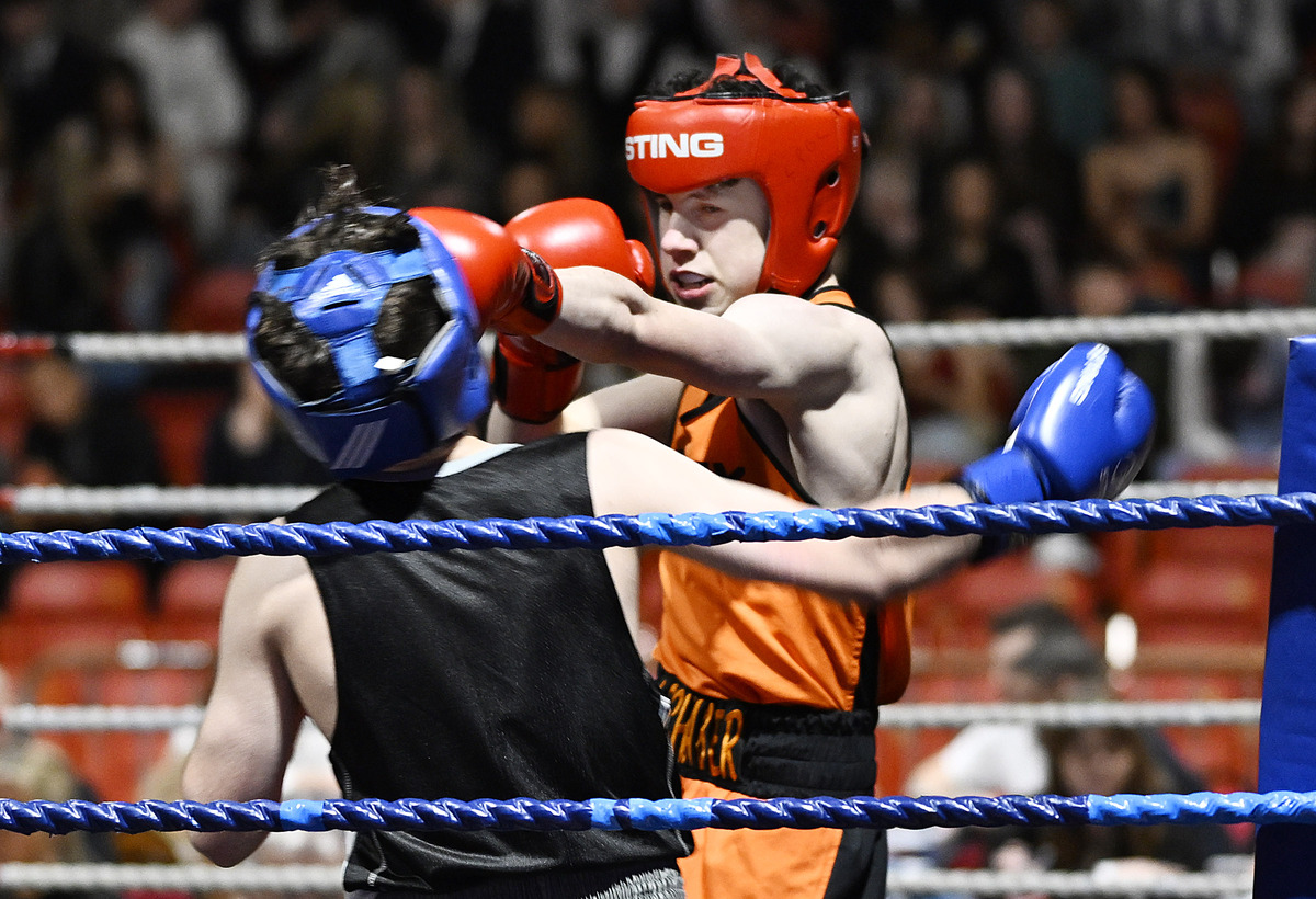 West Coast Today - Sport - Lochaber Phoenix Boxing Club's Home Show a ...
