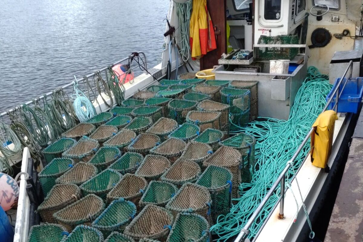 West Coast Today - Media Library - NO_T24_Sinking_rope.jpg