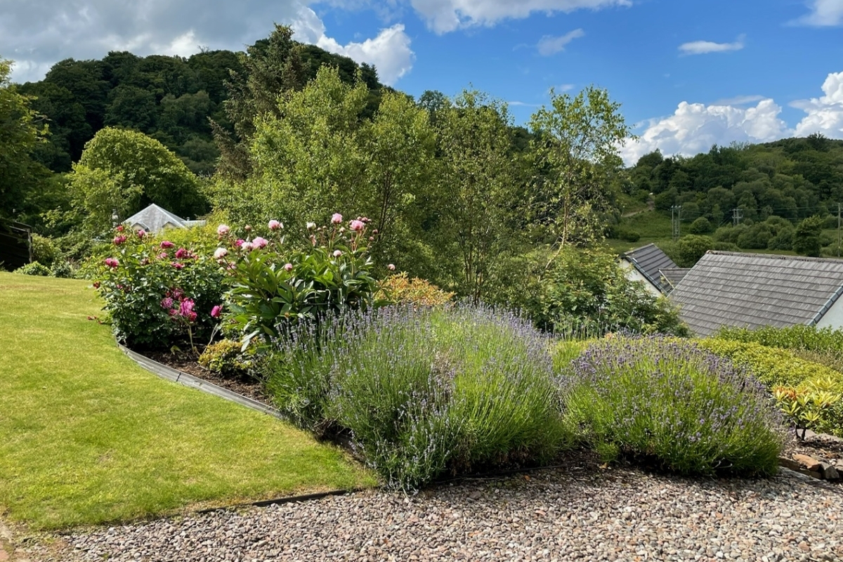 West Coast Today - News - Blooming marvellous afternoon in Tayvallich