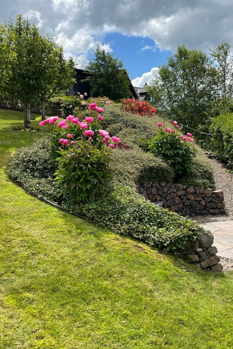 West Coast Today - News - Blooming marvellous afternoon in Tayvallich