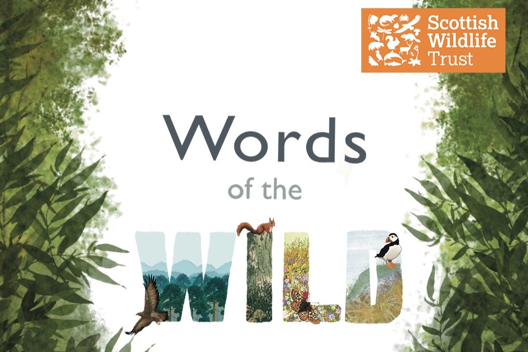 West Coast Today - Leisure - Share your ‘words of the wild’ through ...