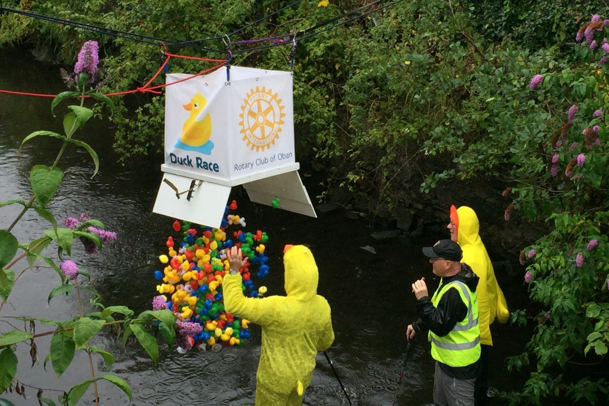 West Coast Today - News - Who let the ducks out - Rotary race made a splash