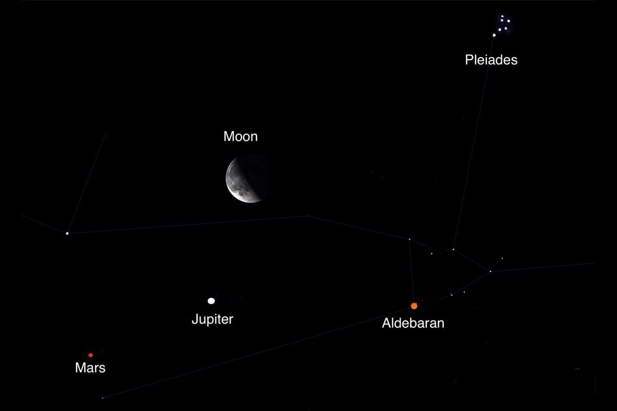 West Coast Today - Opinion - Seeing Stars: A stellar grouping