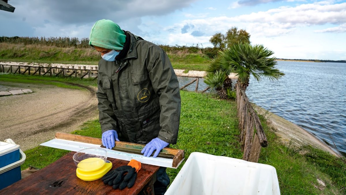 Fish Farmer - Features - A slippery problem
