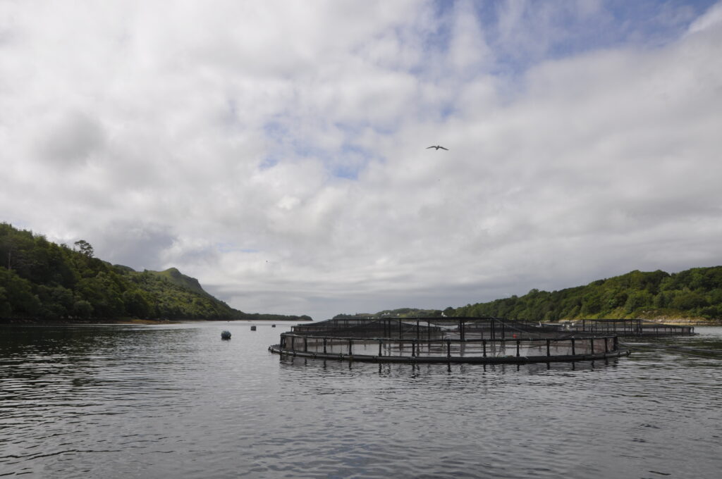 Fish Farmer - Features - From Argyll to Iraq – and back