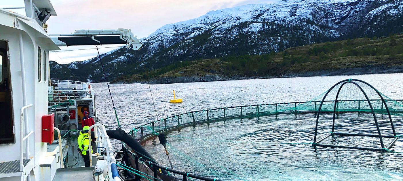 Fish Farmer - News - Norcod is now top cod farmer, says CEO