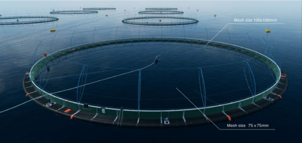 Fish Farmer - Fish Farmer - All Content - Scottish Sea Farms to set out ...