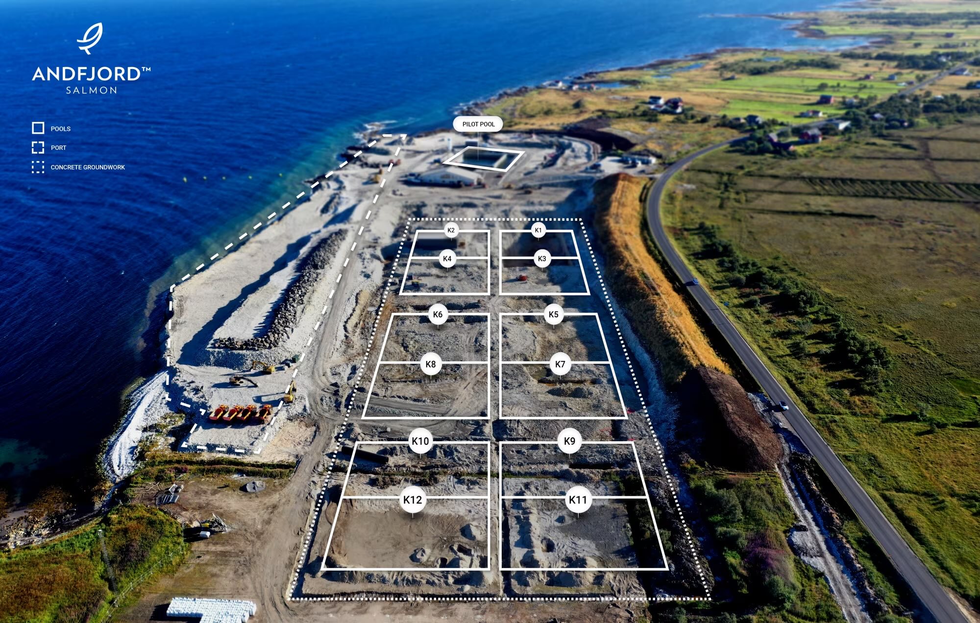 arctic salmon project