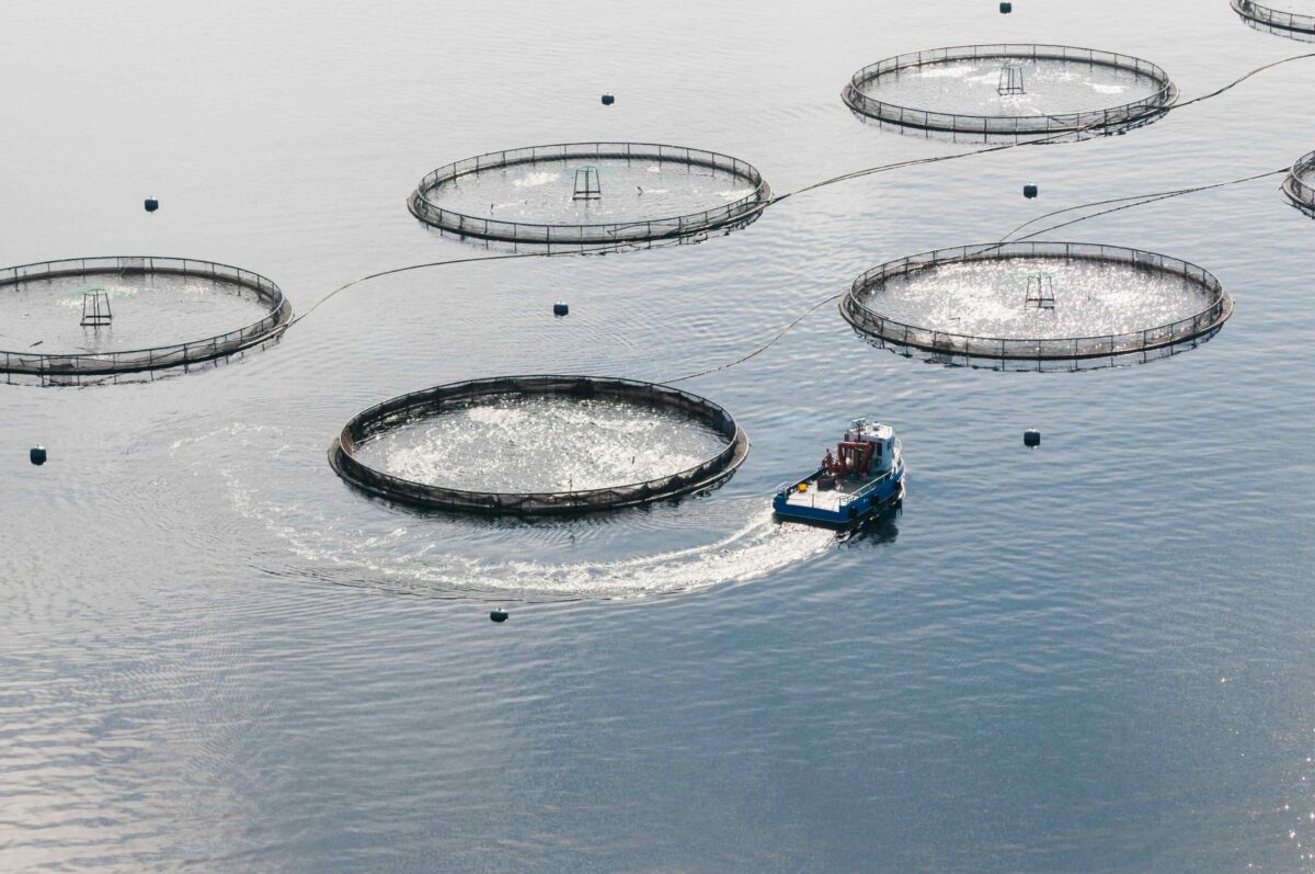 Fish Farmer - News - UHI Shetland launches new research centre