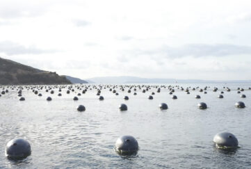 Fish Farmer - Fish Farmer - All Content - Maximising Mussel Farming ...