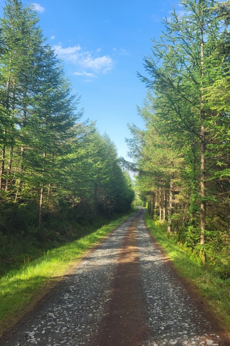 West Coast Today - Sport - Ormsary 10k on the starting blocks