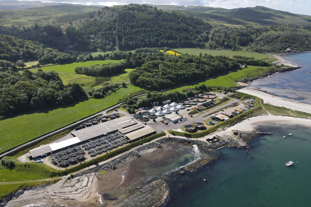 West Coast Today - Media Library - NO_A43_Ormsary_fish_farm_01_web.JPG