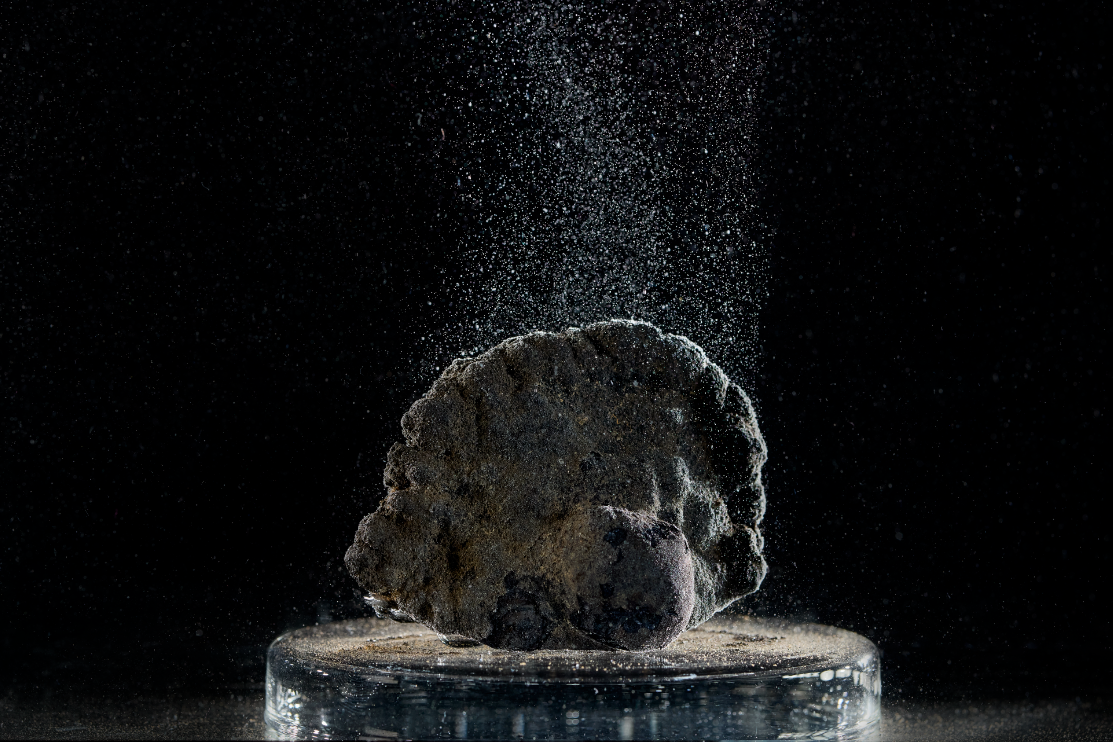 West Coast Today - Media Library - NO_T07_Dark_oxygen_study_04 ...