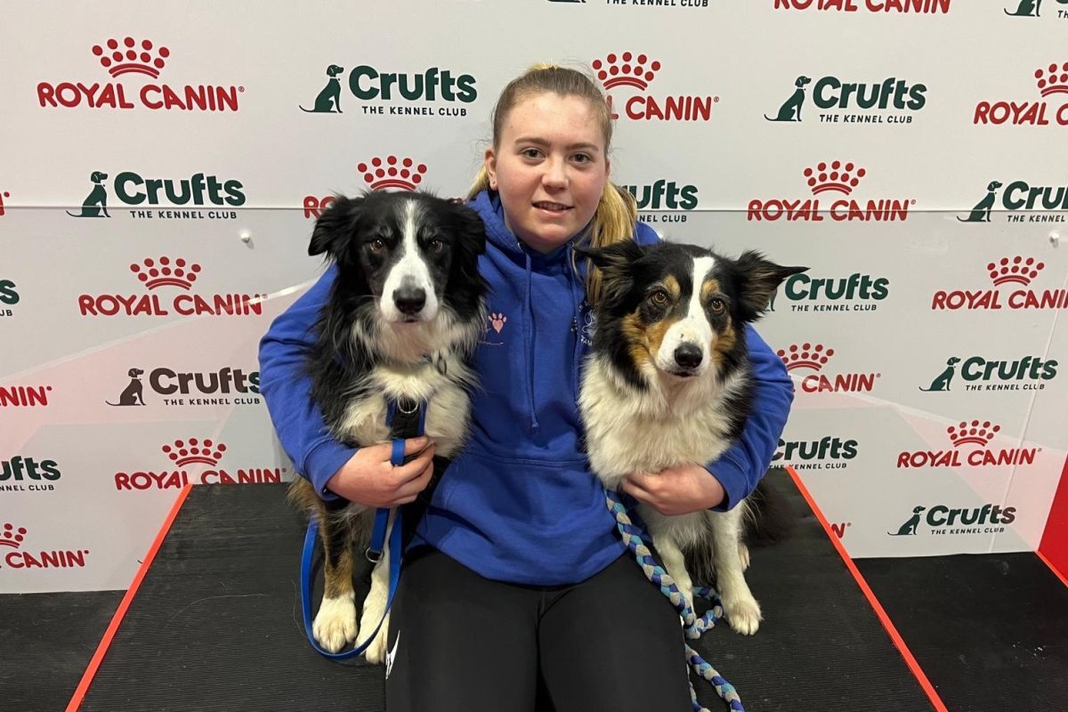 West Coast Today - News - Crufts success for Rachel and her top dogs