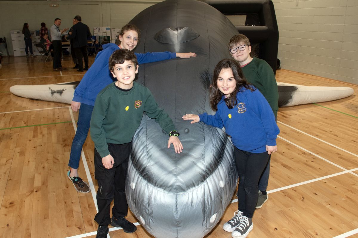 West Coast Today - News - Having a 'whale' of a time