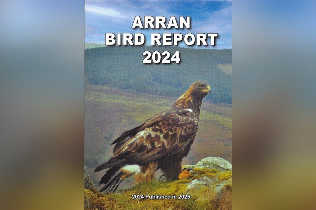 West Coast Today - Heritage - Everything you need to know about birds ...