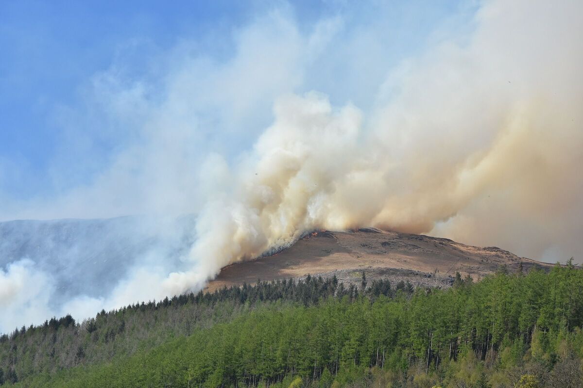 West Coast Today - News - UPDATED: Wildfire breaks out on Arran