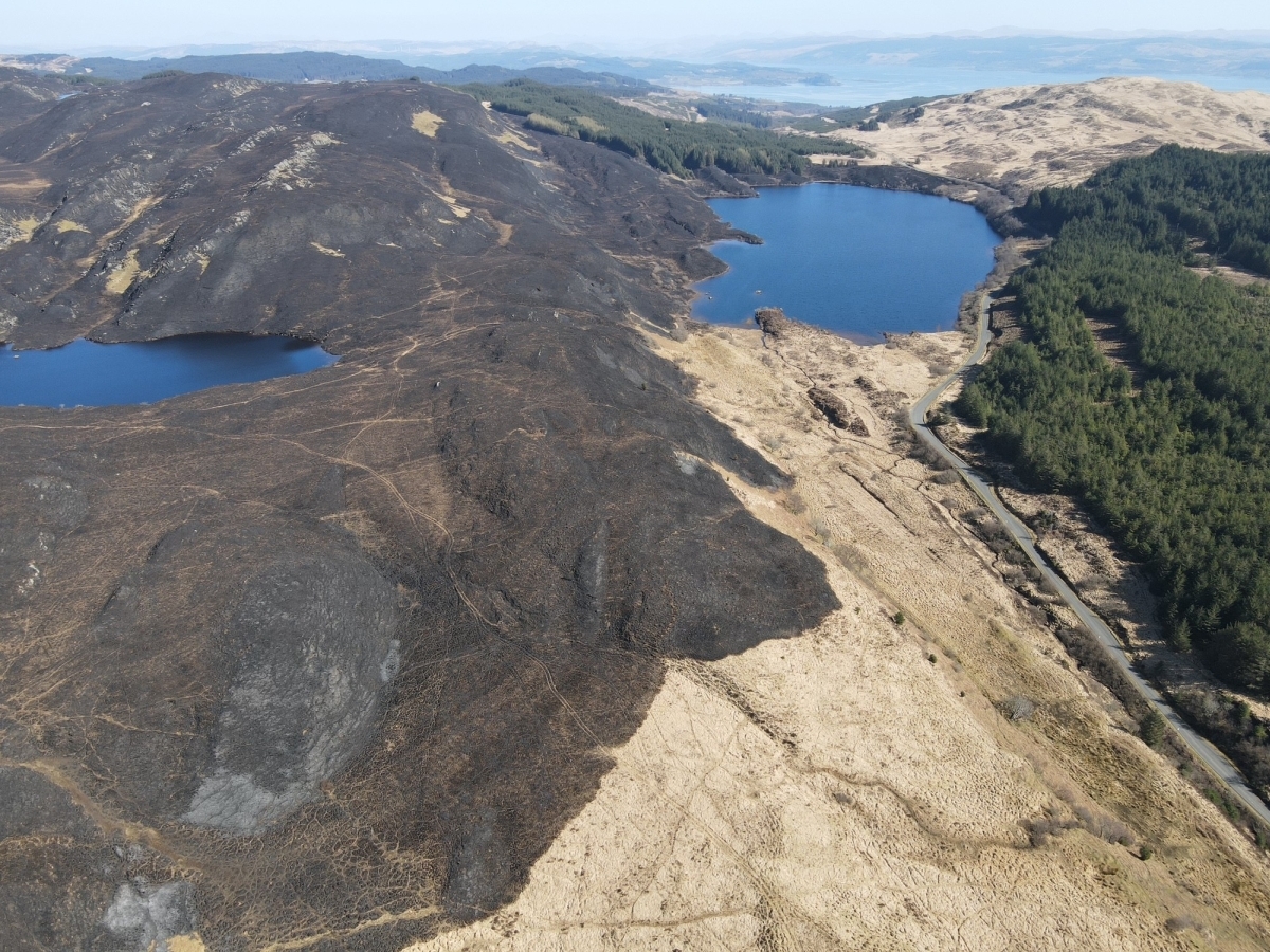 West Coast Today - News - Wildfire scorches large area of Knapdale