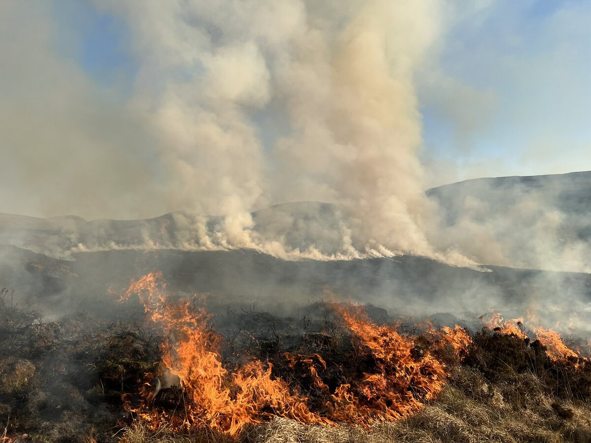 West Coast Today - News - Skye, Morar and Acharacle hit as wildfire ...