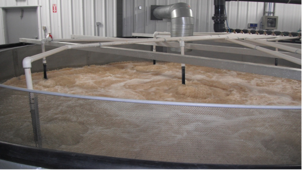 Fish Farmer - Features - Land based farming: Not all biofilters are the ...