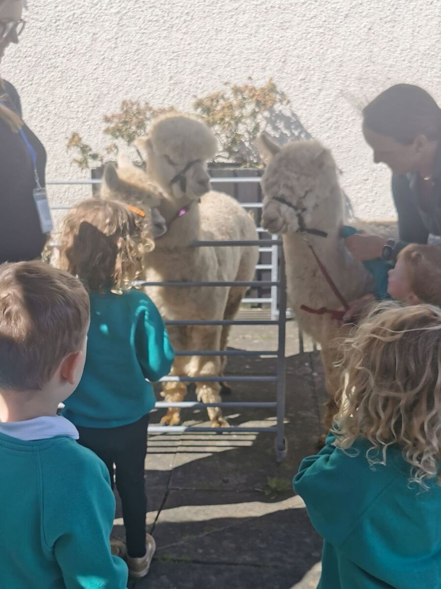 West Coast Today - Media Library - Nursery children enjoyed petting and ...