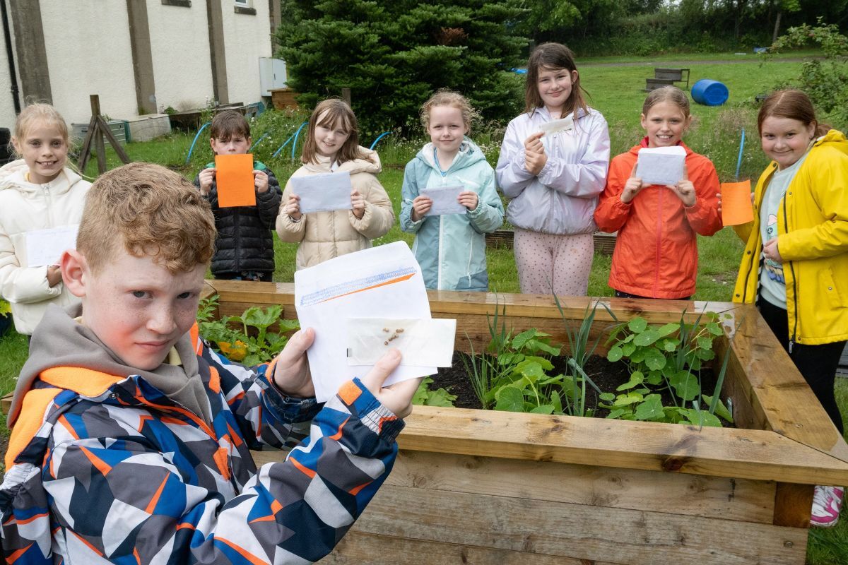 West Coast Today - News - Primary pupils plant the seeds of kindness in ...