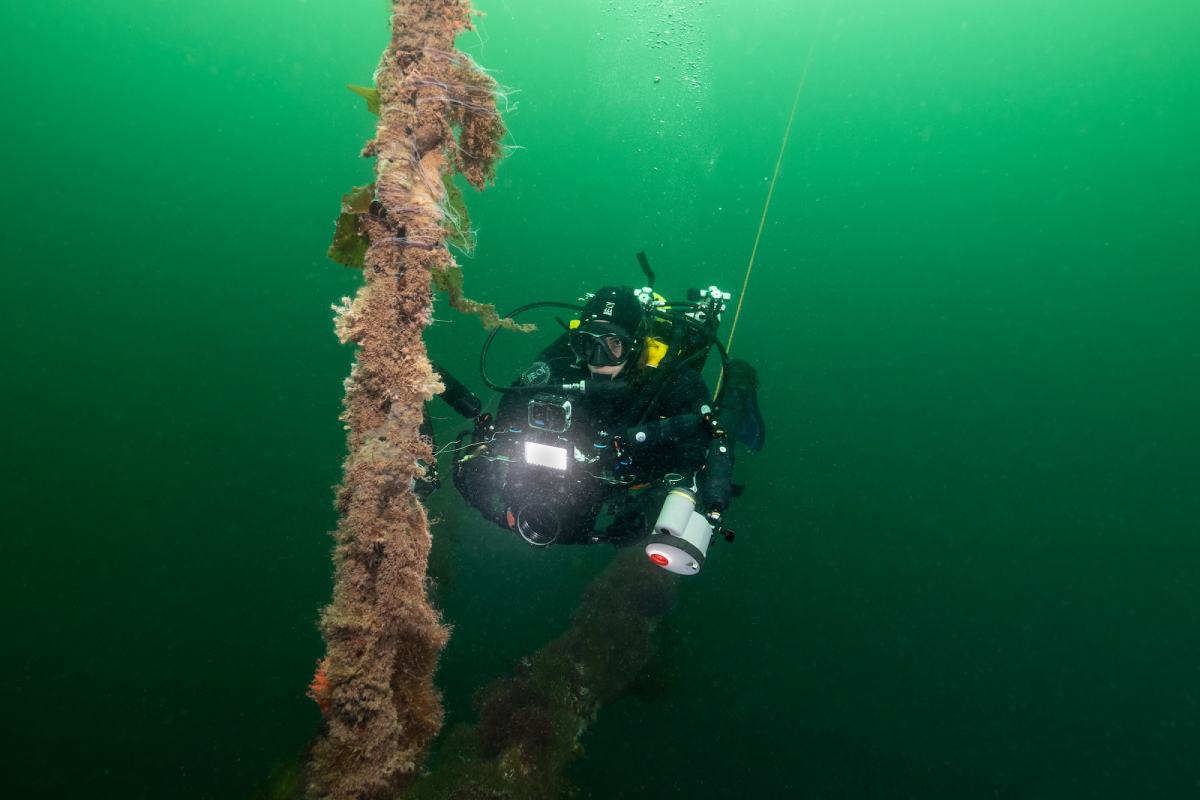 Fish Farmer - News - Mowi says Loch Hourn images show salmon farms can ...