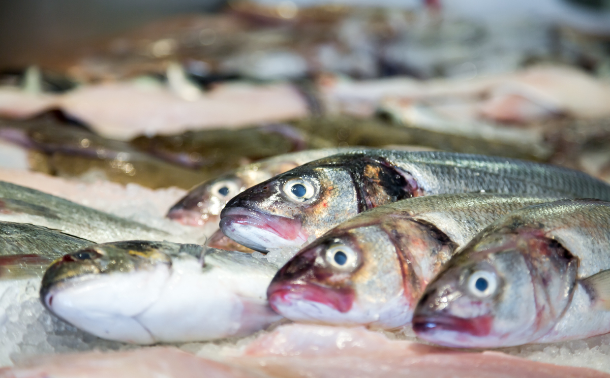 Fish Farmer - Features - Red, white and blue economy