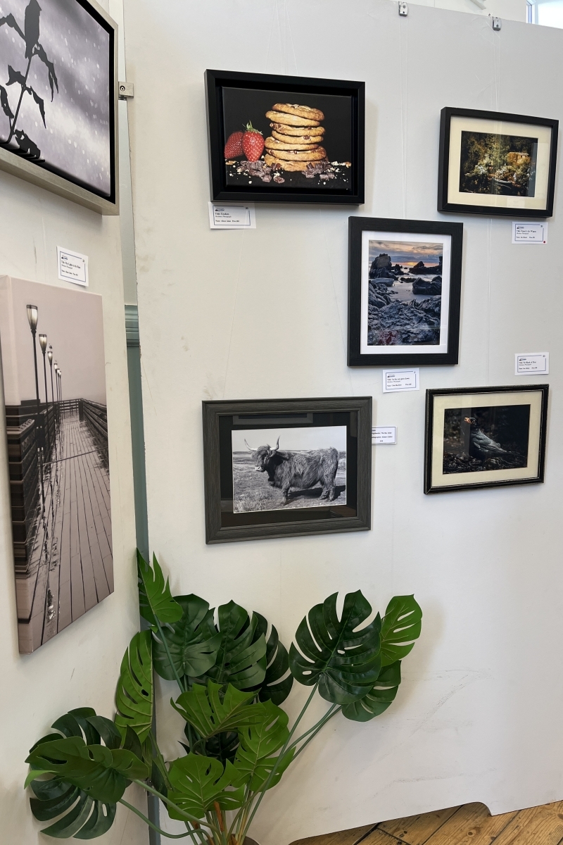 West Coast Today - Media Library - There were more photographs than ...