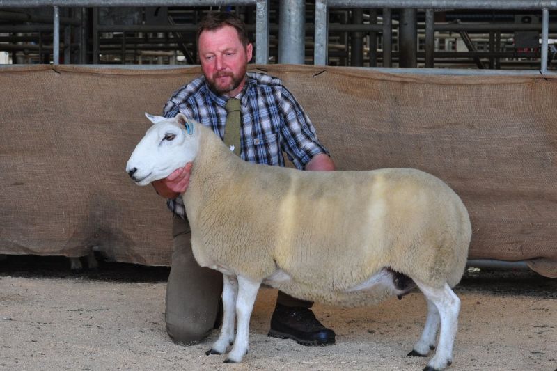 West Coast Today - Leisure - Dalmally Agricultural Show - Saturday 6th ...