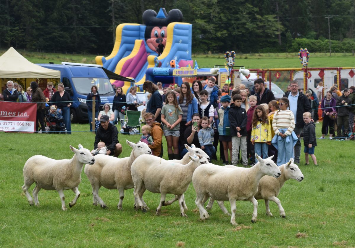West Coast Today - News - Horsepower wins the day at 2025 Lochaber Agri ...