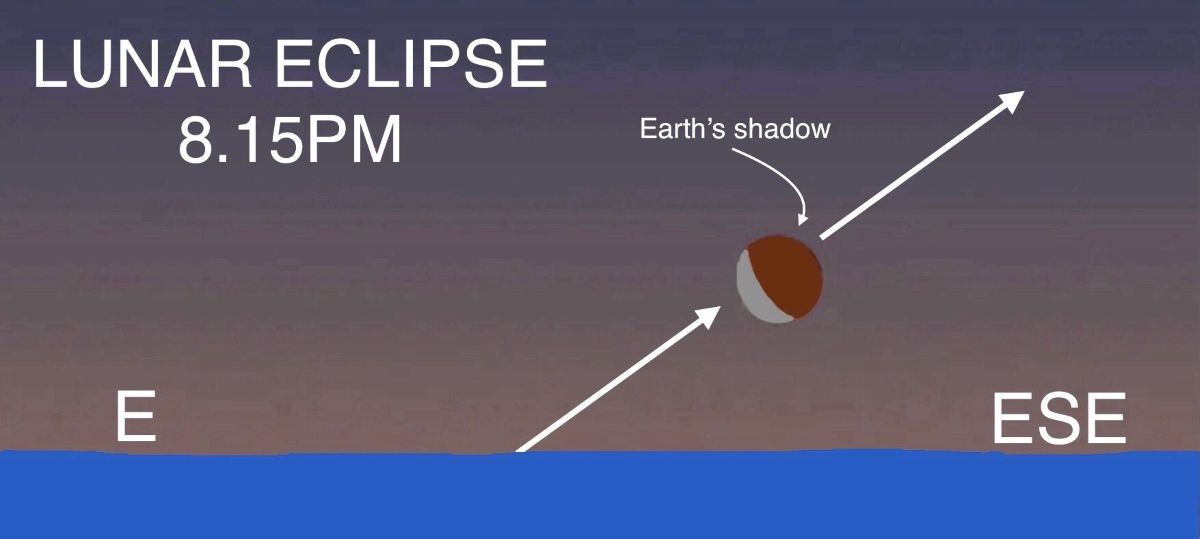 West Coast Today - All Content - WCT - Seeing Stars: Don’t miss the ...