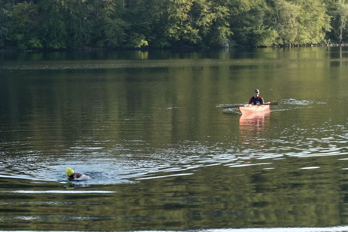 West Coast Today - News - Osprey superfan swims across Loch Arkaig to ...