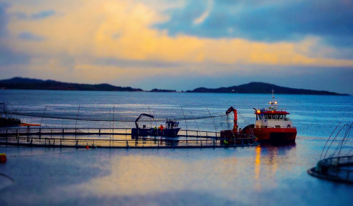 Fish Farmer - Features - Feeling the heat: climate change and aquaculture