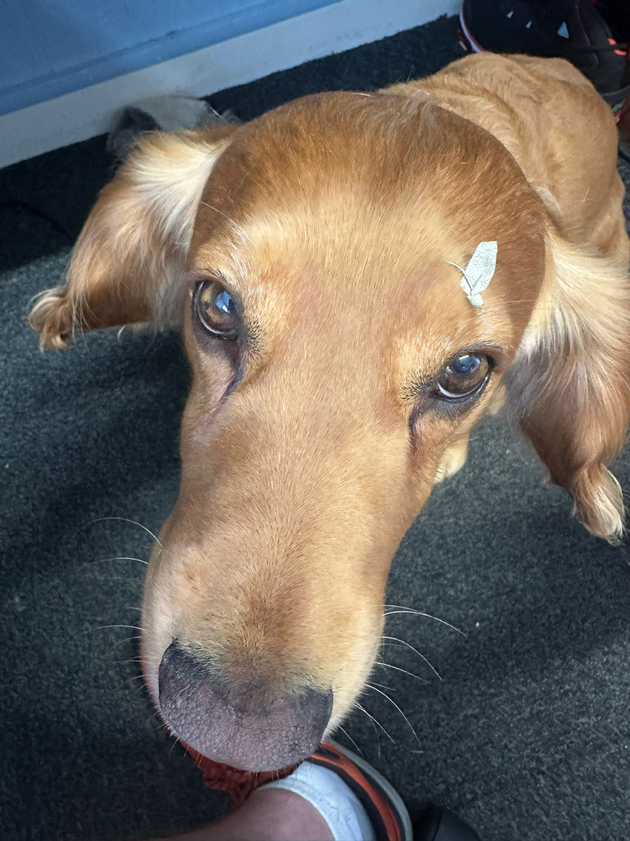 West Coast Today - News - Discarded tackle putting lifeboat crew at risk