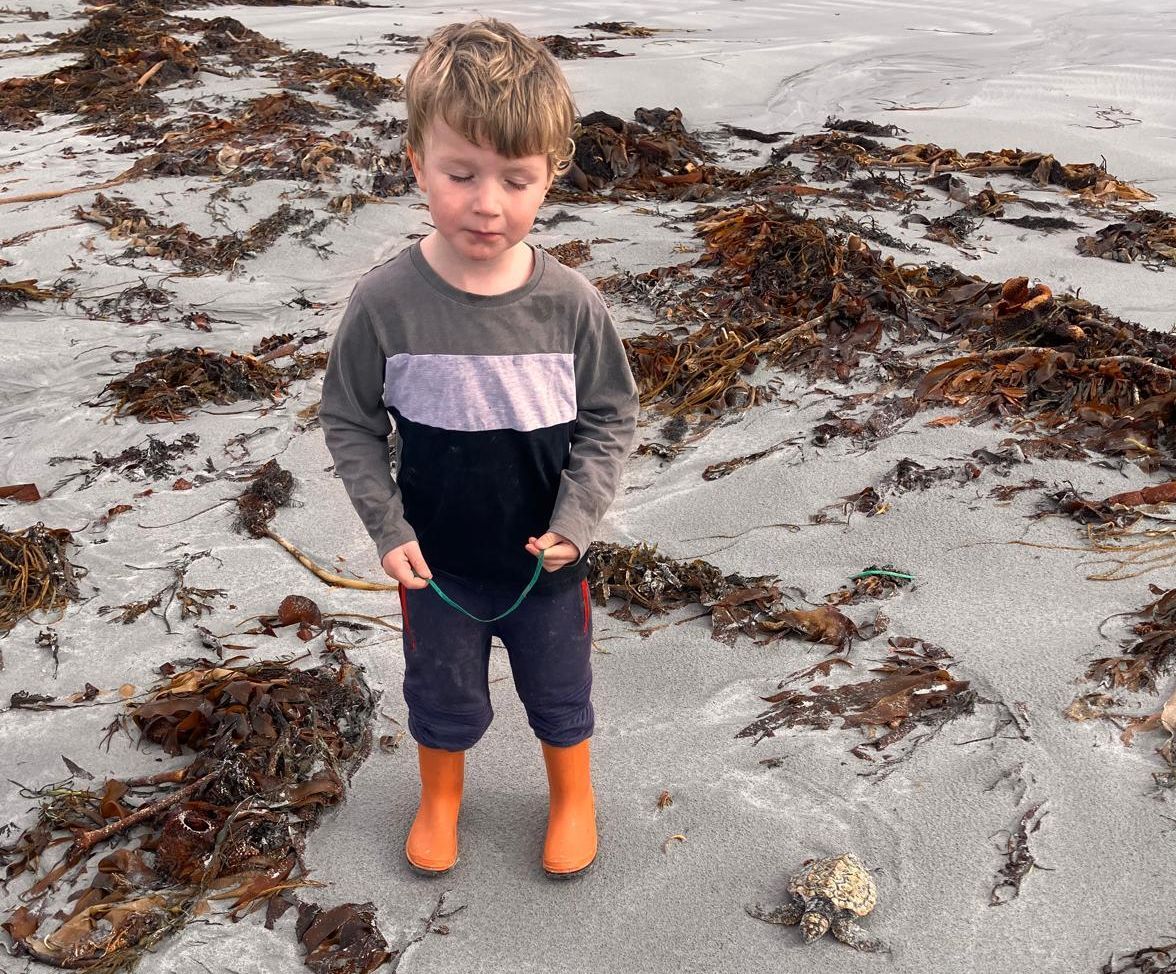 West Coast Today - News - Tiree's 'tur'tally fantastic rescue