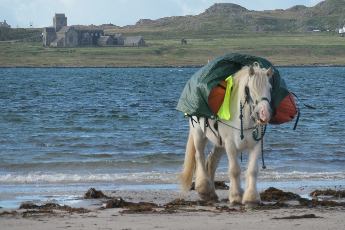 West Coast Today - Media Library - no t40 chief iona in background