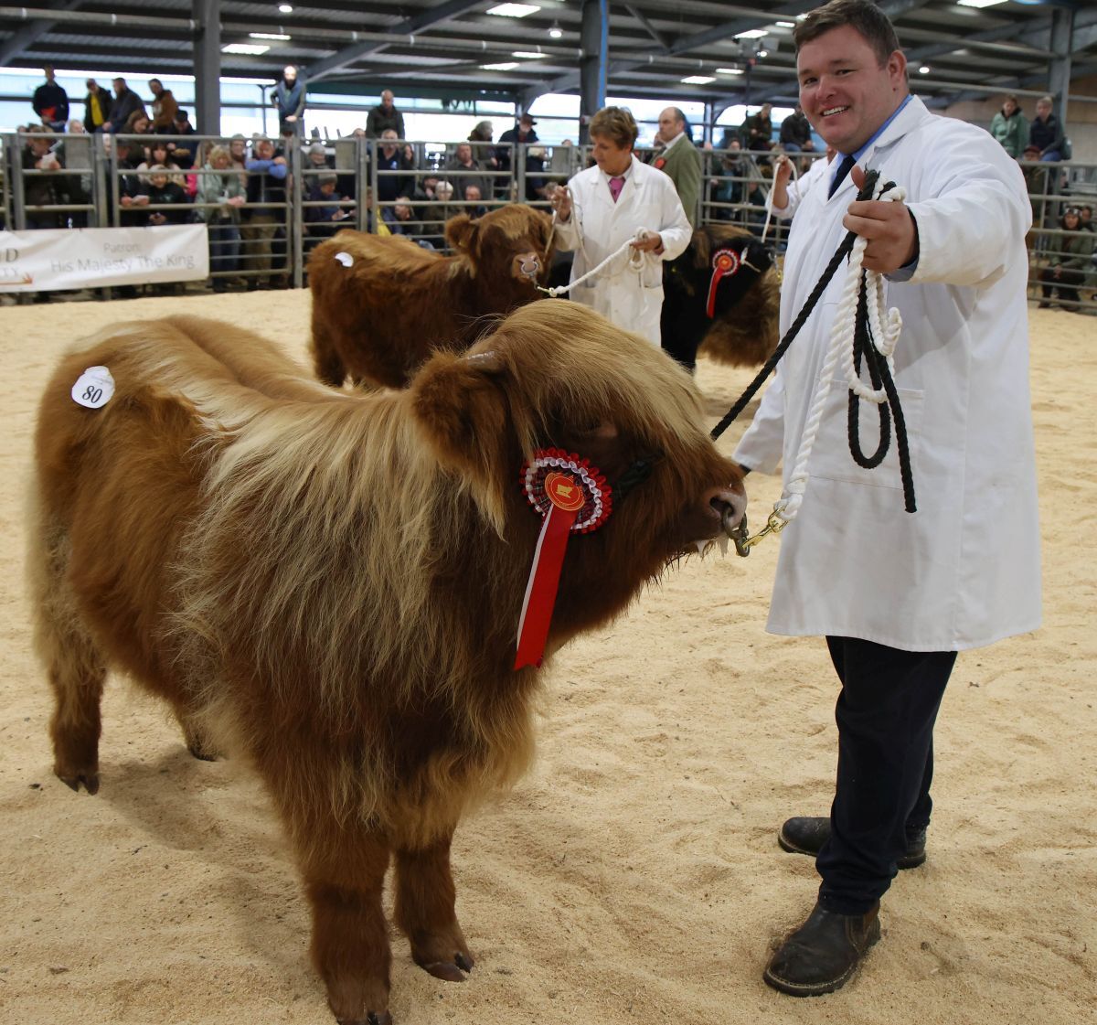 West Coast Today - Media Library - Stockman Stuart Campbell with Heifer ...